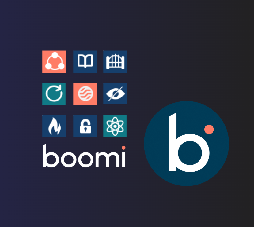 Boomi API Visual Interface | Chris Bienick